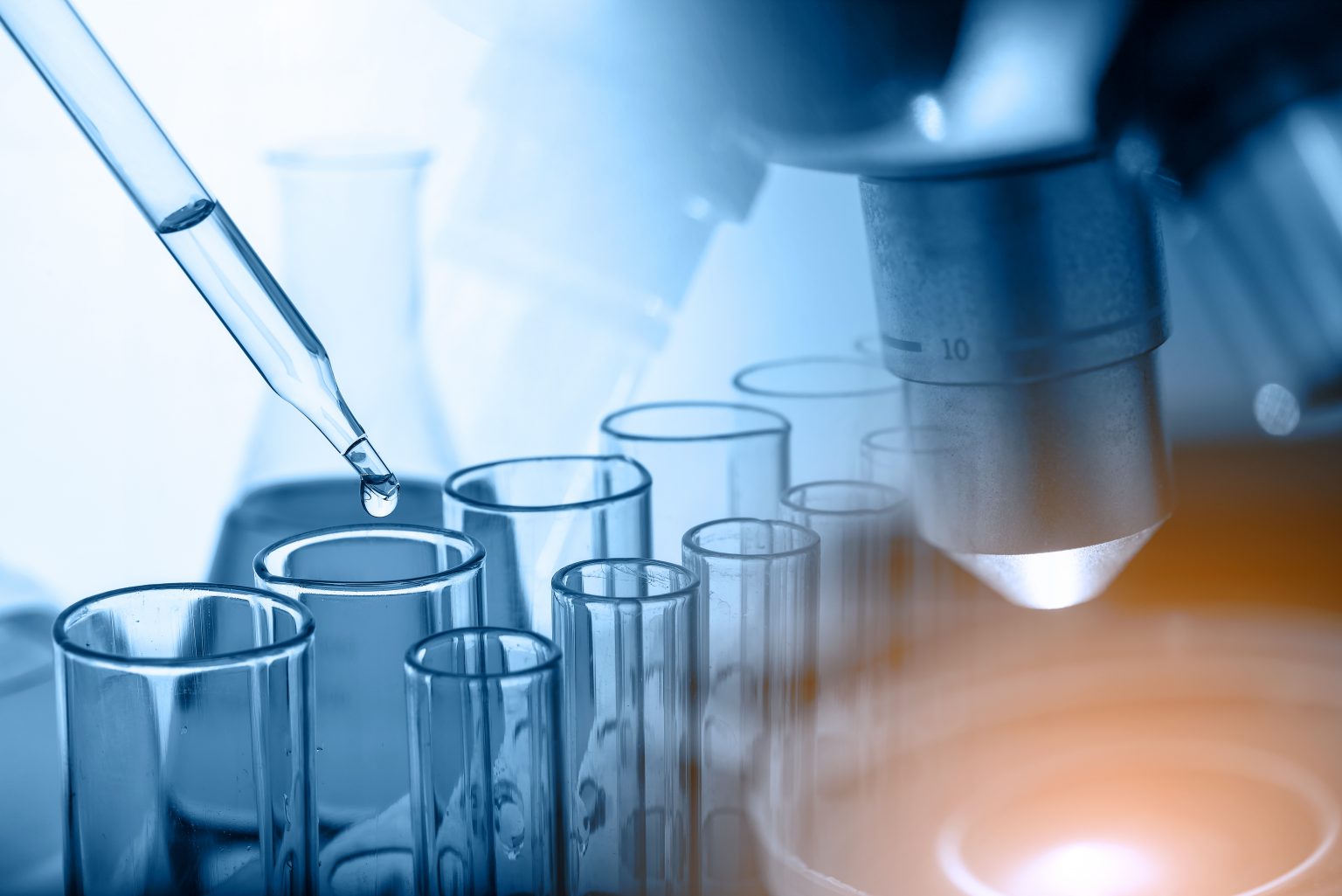 Entera Bio Announces FDA Agreement for a Single Phase 3 Clinical Trial ...